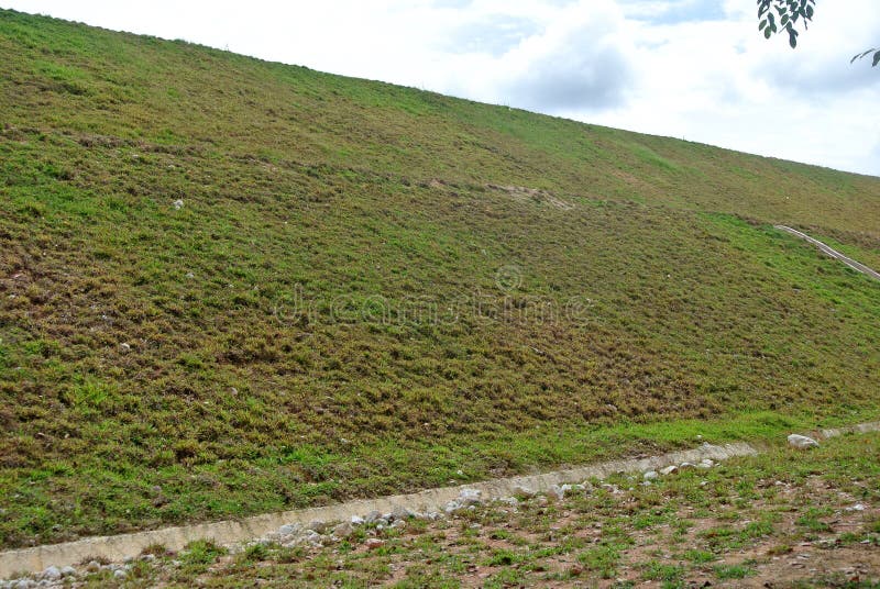 Permanent Slope Protection with Grass Using the Hydroseed Method. the ...