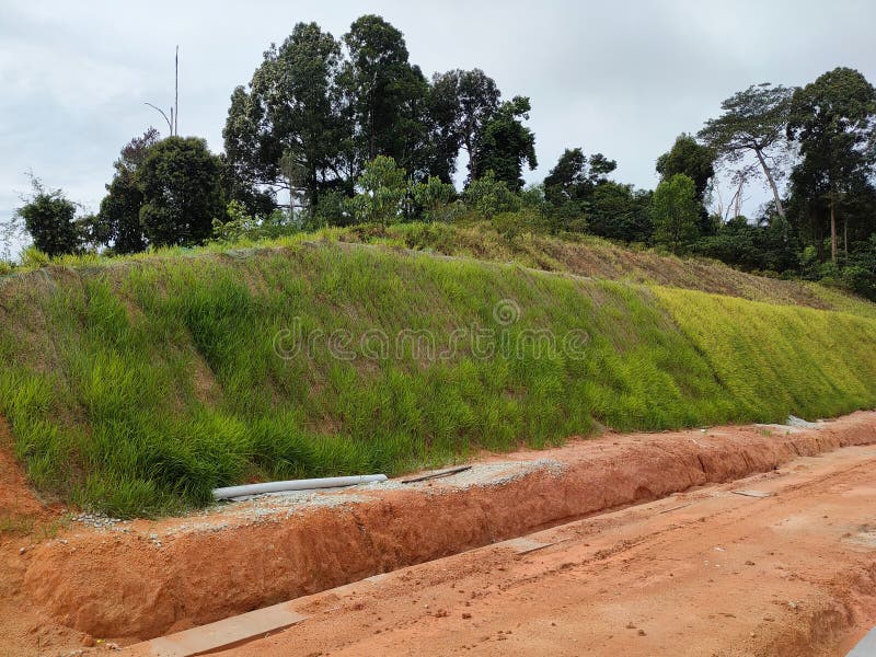 Permanent Slope Protection with the Natural Grass Using the Hydroseed ...