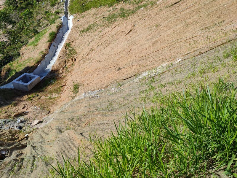 Permanent Slope Protection with Grass Using the Hydroseed Method. Stock ...
