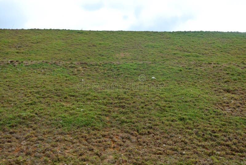 Permanent Slope Protection with Grass Using the Hydroseed Method. the ...