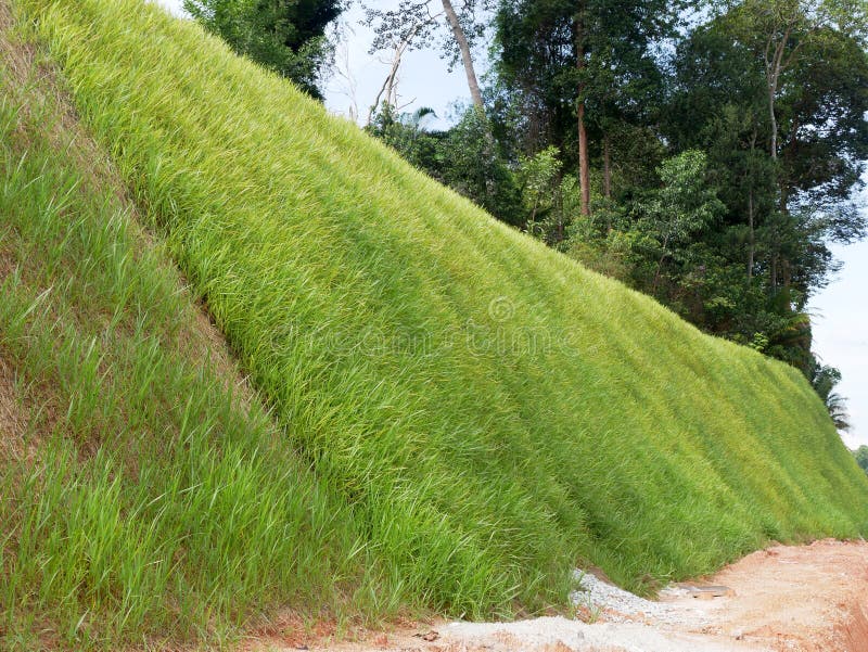 Permanent Slope Protection with the Natural Grass Using the Hydroseed ...