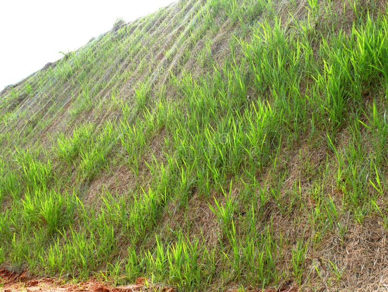 Permanent Slope Protection with the Natural Grass Using the Hydroseed ...