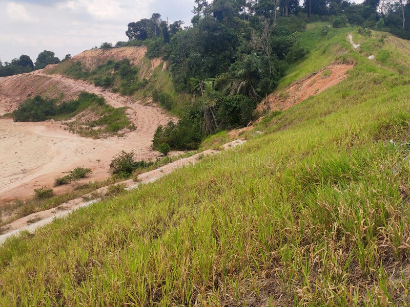 Permanent Slope Protection Using the Close Turfing Method To Prevent ...