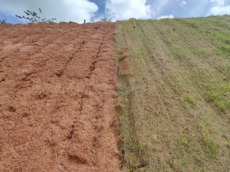 Permanent Slope Protection Using the Close Turfing Method To Prevent ...
