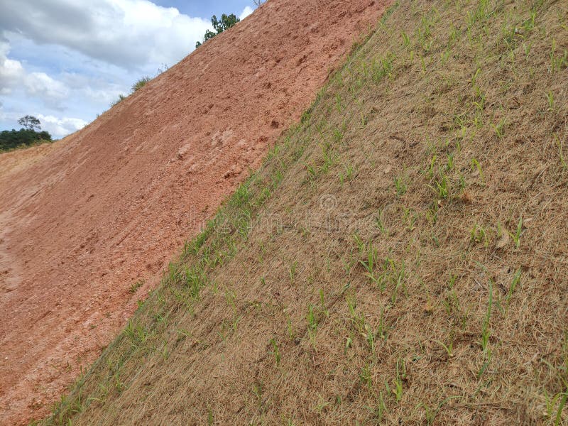 Permanent Slope Protection Using the Close Turfing Method To Prevent ...