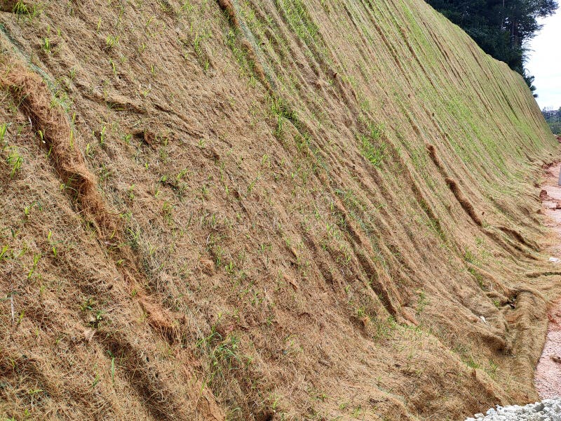 Permanent Slope Protection Using the Close Turfing Method To Prevent ...