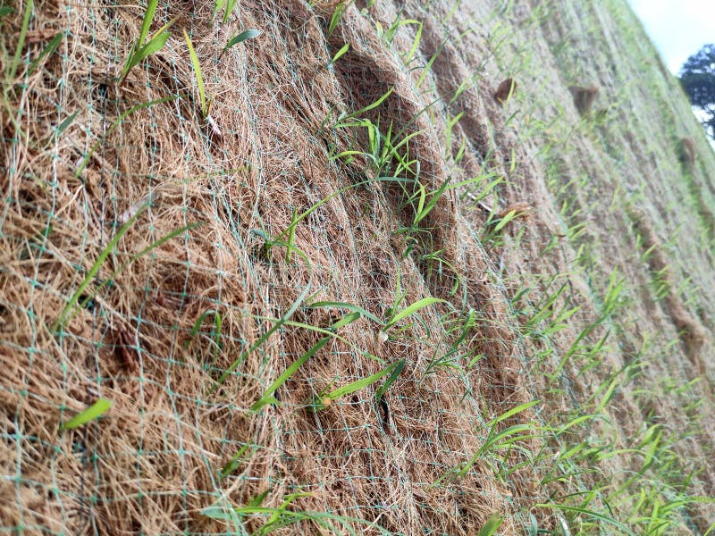 Permanent Slope Protection Using the Close Turfing Method To Prevent ...