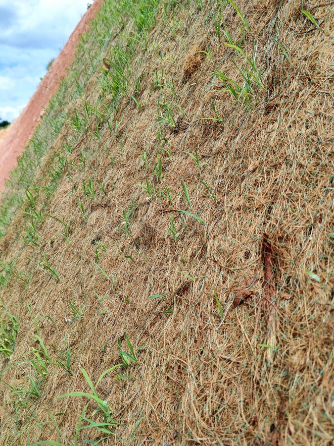 Permanent Slope Protection Using the Close Turfing Method To Prevent ...