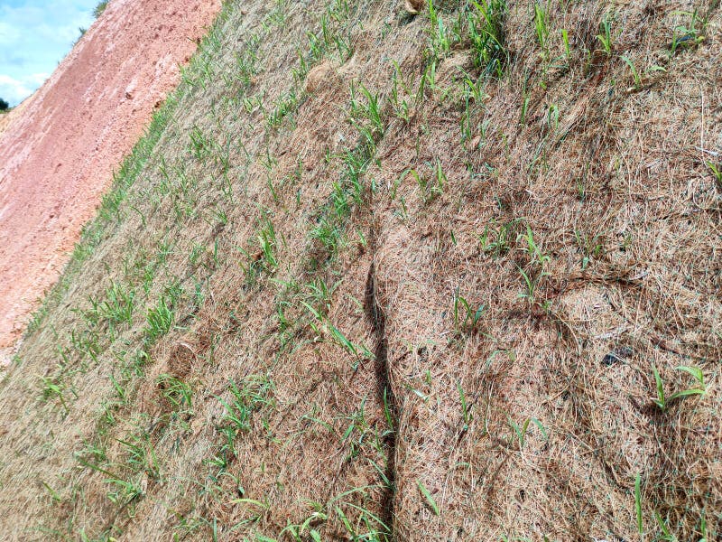 Permanent Slope Protection Using the Close Turfing Method To Prevent ...