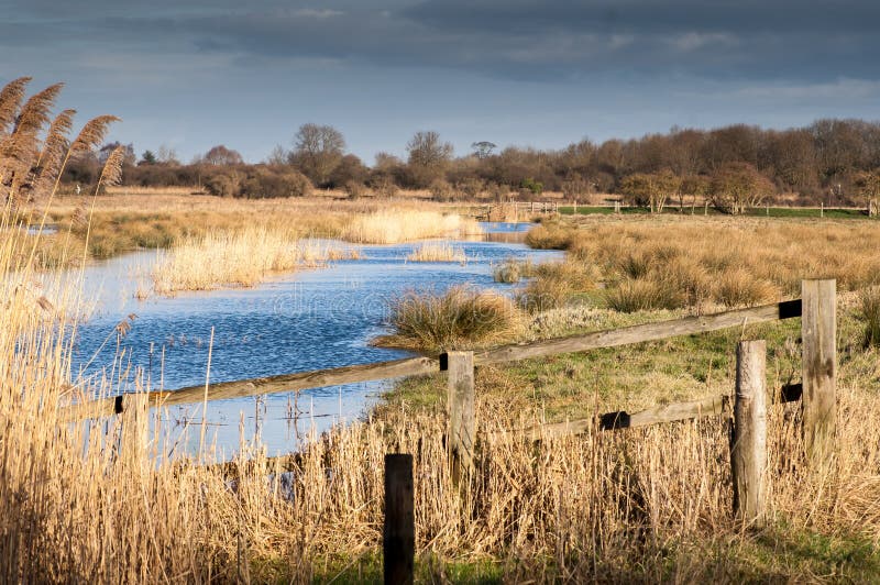Permanent Standing Water in Rough Grassland Stock Image - Image of ...