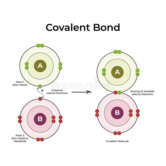 Permanently Open Ion Channels Design Vector Illustration Stock Vector ...