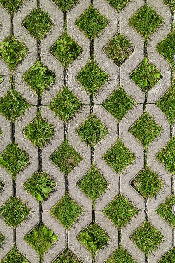 Permeable Pavement with Grass. Eco Friendly Parking Stock Photo - Image ...