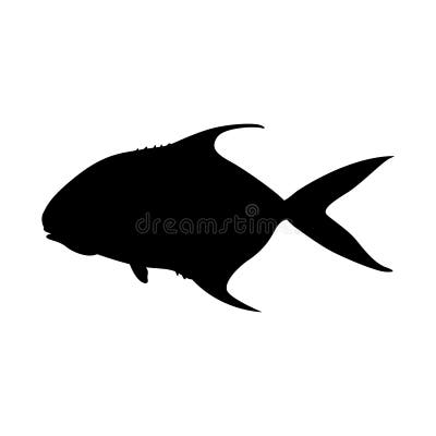 Permit Fish , Vector Illustration, Black Silhouette, Side Stock Vector ...