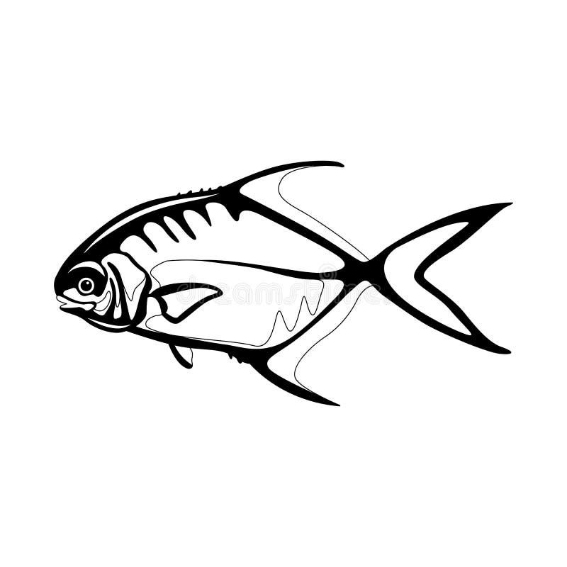 Permit Fish , Vector Illustration, Black Silhouette, Side Stock Vector ...