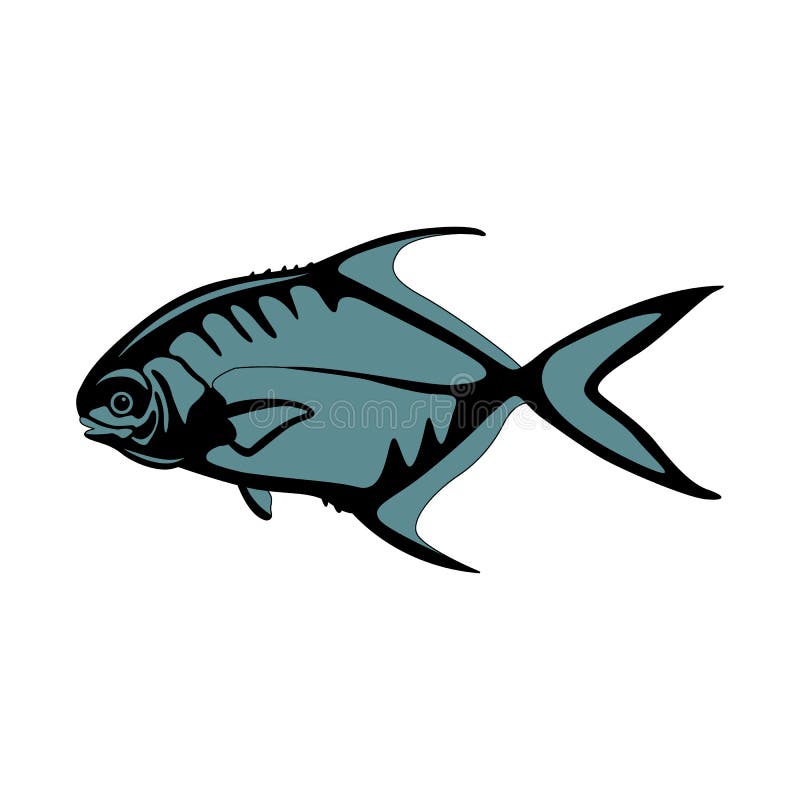 Permit Fish Vector Stock Illustrations – 70 Permit Fish Vector Stock ...