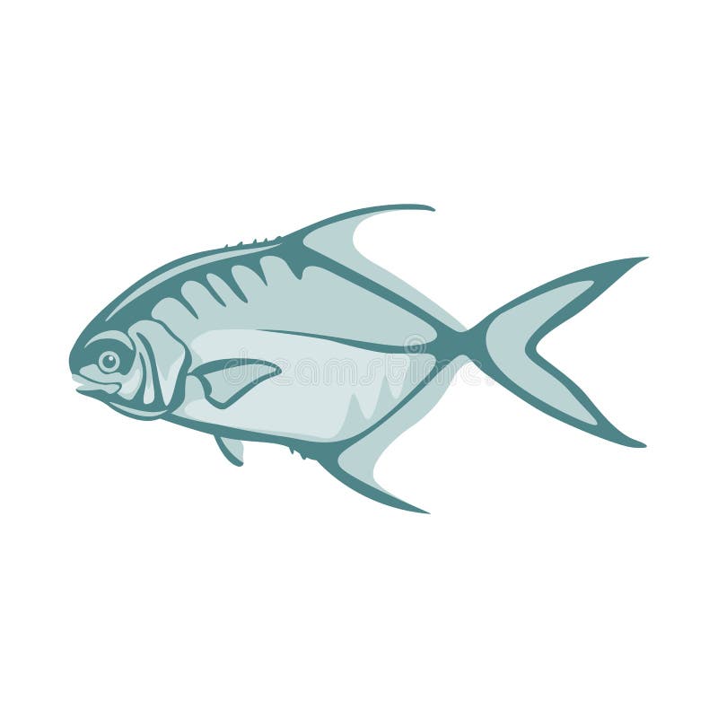 Permit Fish , Vector Illustration, Flat Style, Side View, Lining Stock ...