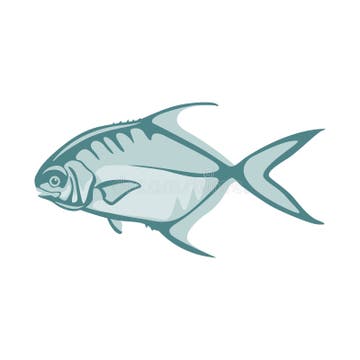 Permit Fish Vector Stock Illustrations – 70 Permit Fish Vector Stock ...