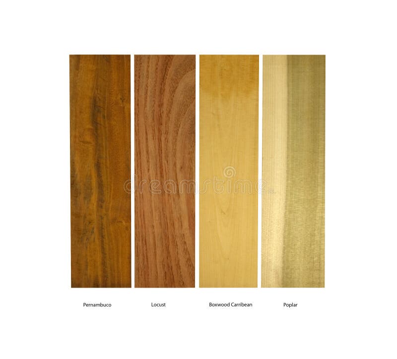 Pernambuco,Locust,Boxwood and Poplar Wood Samples Stock Photo - Image ...