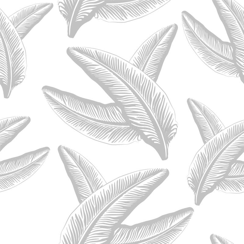 074_Perot Pattern. Seamless Pattern with Decorative Feathers Stock ...