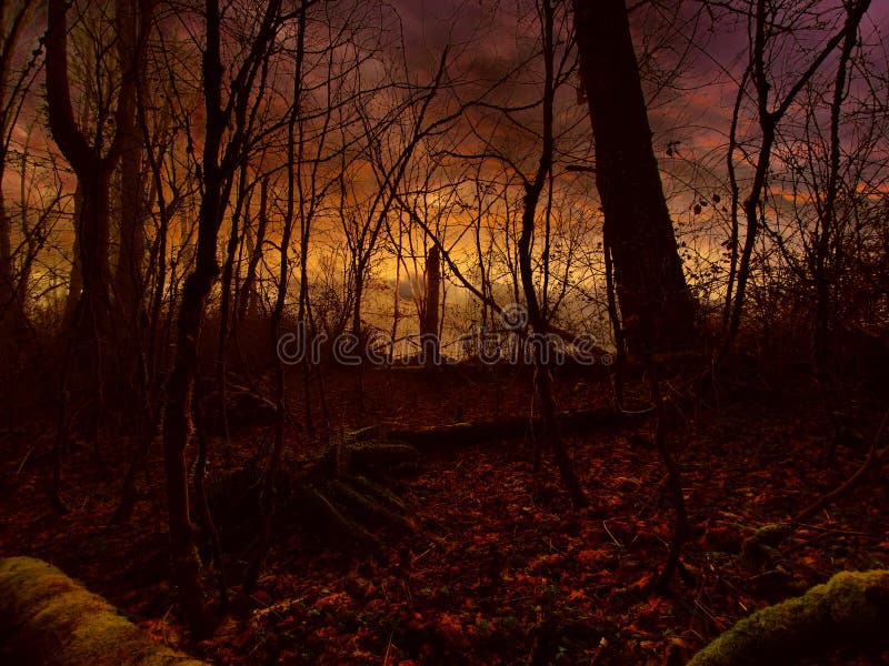 Perplexed Sky Sunshine and Shadows Dawn Stock Photo - Image of sunshine ...