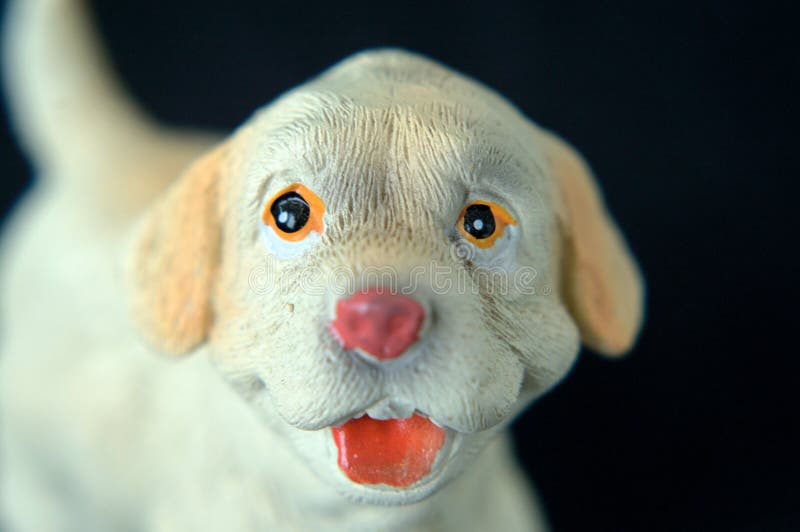 imágenes comunes del Perro Del Yeso - los derechos de la transferencia directa el 170 liberan ...