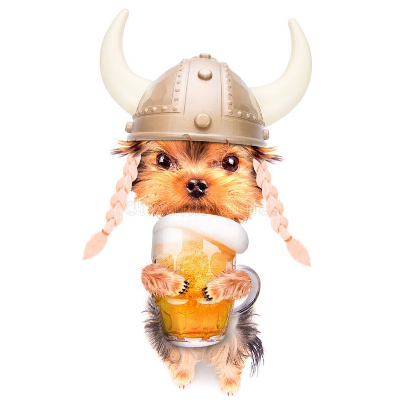 Perro Borracho Con La Cerveza Foto de archivo - Imagen de alcohol ...