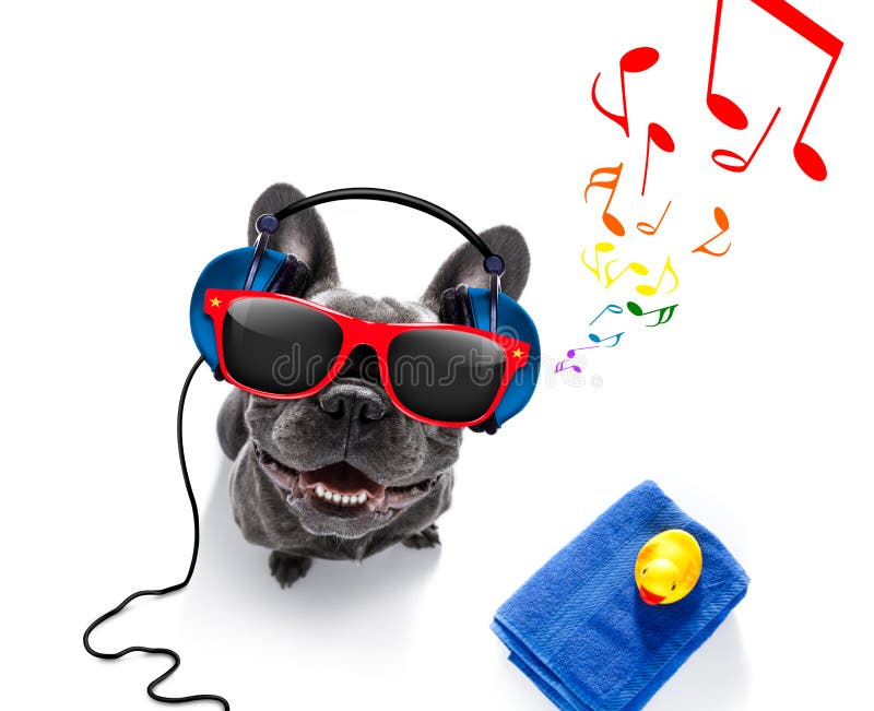 Perro Con Los Auriculares De La Música Imagen de archivo - Imagen de ...