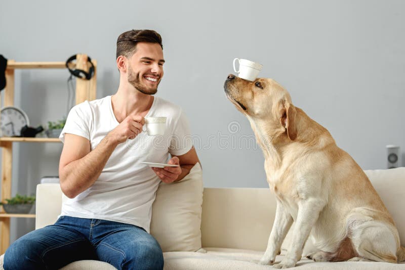 Perro Pomerania Inteligente Con Un Libro. Un Perro Refugiado En Una ...