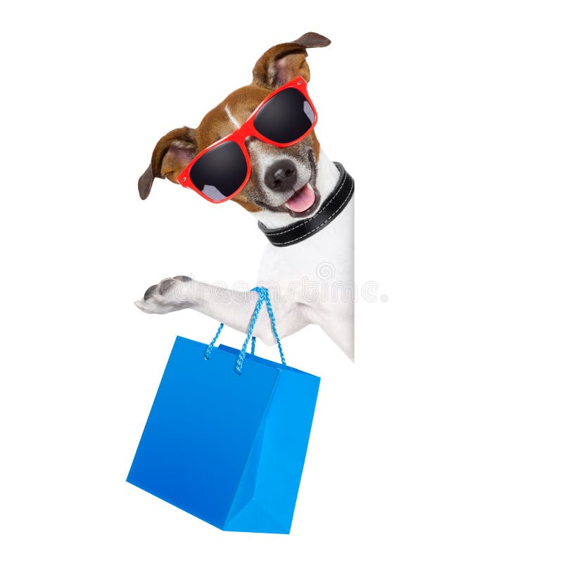 Perro De Las Compras De Shopaholic Imagen de archivo - Imagen de bolso ...