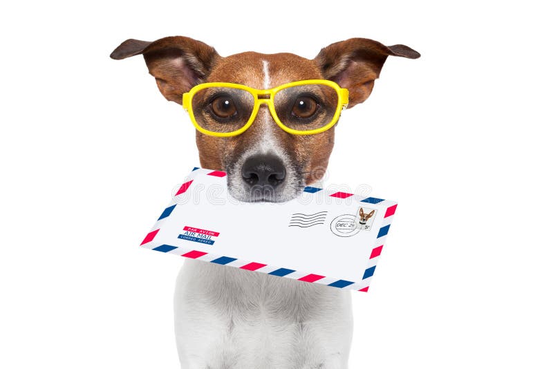 Perro Del Sello De Correo Del Sobre Del Poste Foto de archivo - Imagen ...