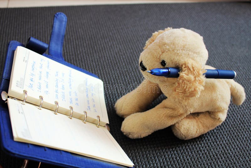 Perro estudioso foto de archivo. Imagen de mascota, animal - 32984864