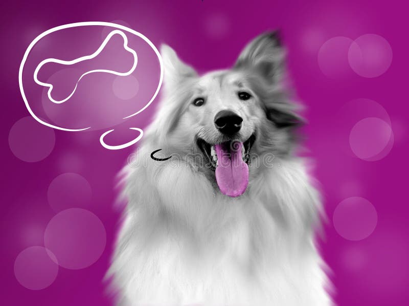 Perro feliz stock de ilustración. Ilustración de coloreado - 48554554