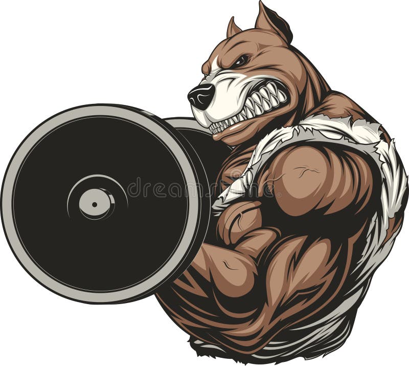 Culturista Enojado Del Perro Ilustración del Vector - Ilustración de ...