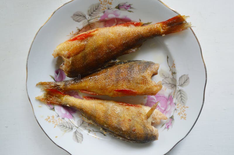 Perro frito en una placa imagen de archivo. Imagen de perca - 156215431