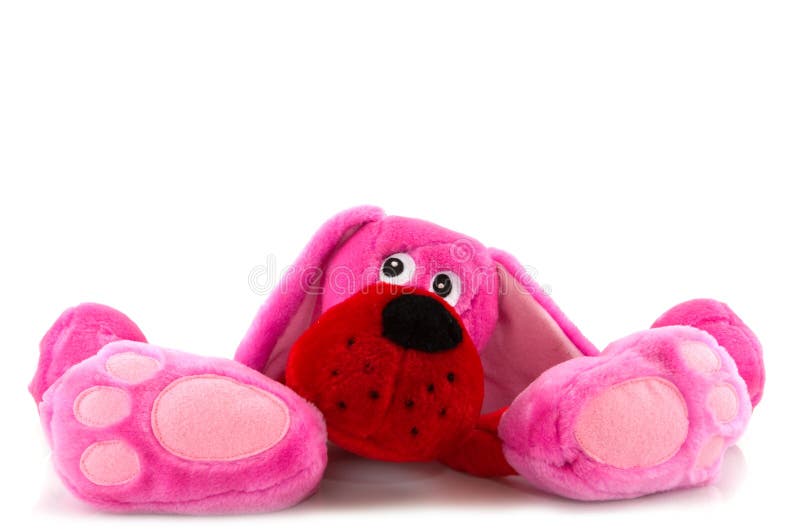 Perro rosado foto de archivo. Imagen de divertido, rellenado - 8566632