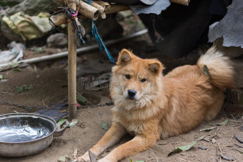 Casa rural china imagen de archivo. Imagen de rural, aldea - 67538369