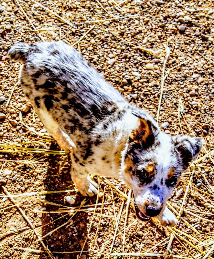 Sandra McKibben (Srmckibben) - Photos