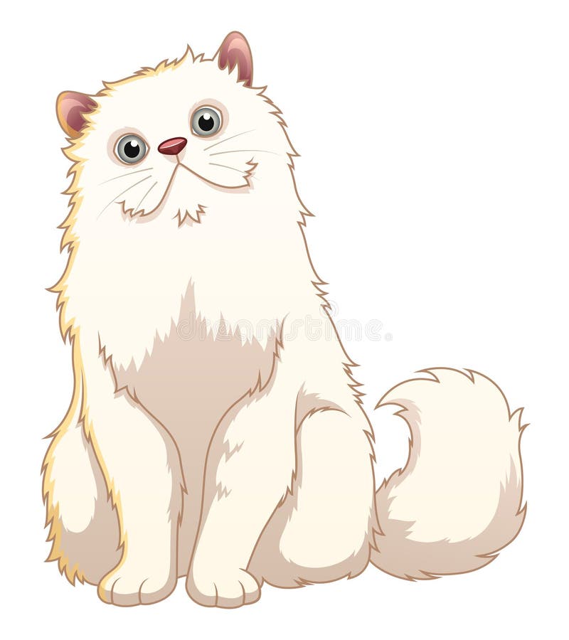Persian Cat Cartoon Animal Illustration Stock Illustration ...