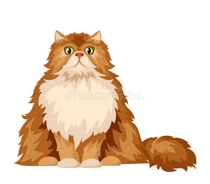 Persian Cat. Vector Illustration. Stock Vector - Illustration of design ...