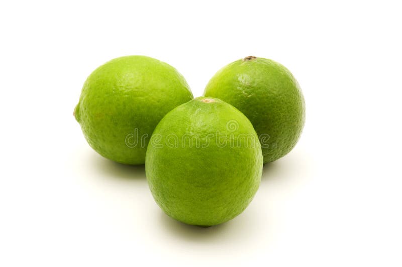 Persian lime stock photo. Image of citrus, persian, tahiti - 15439522