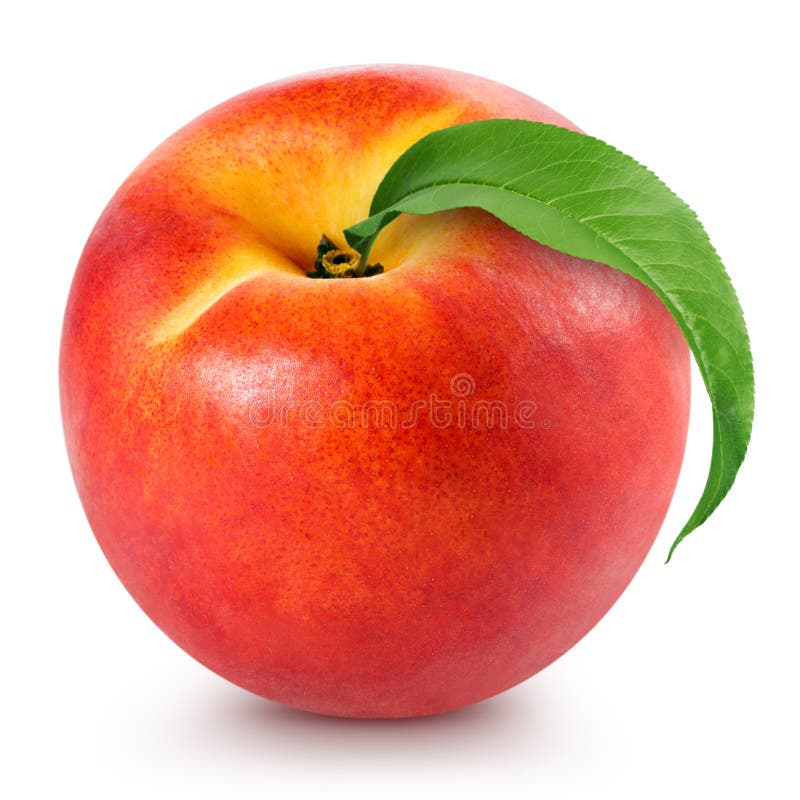 Persika fotografering för bildbyråer. Bild av trevligt - 39914797