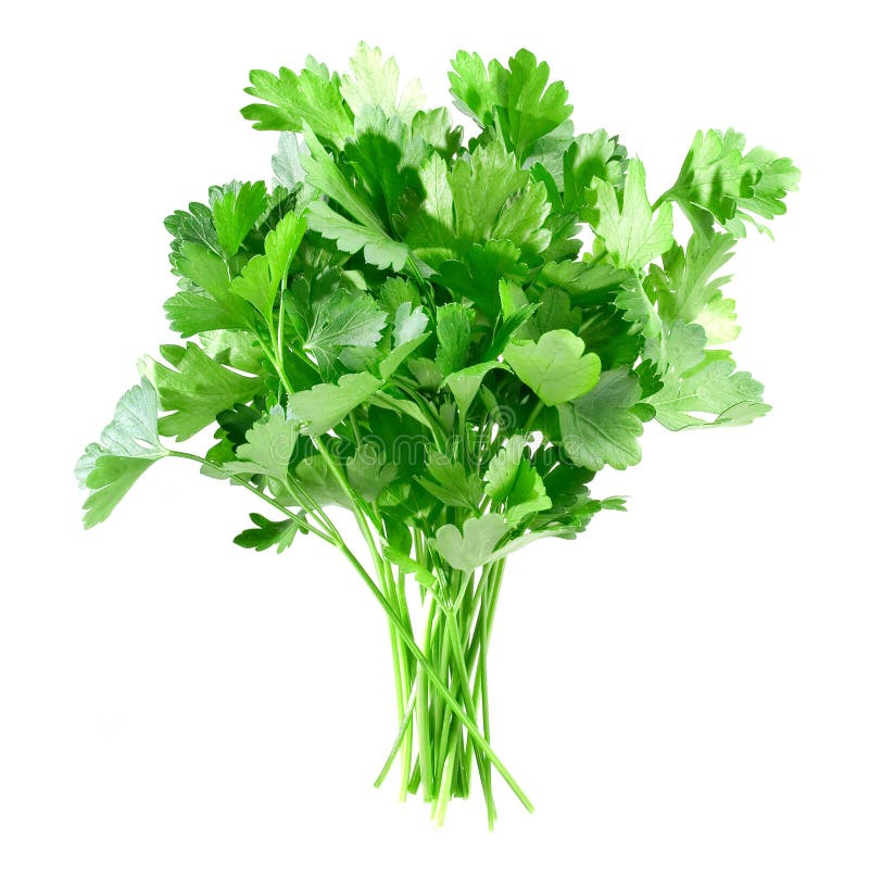 Le Légume De Persil Sur Le Fond Blanc D'isolat. Photo stock - Image du ...