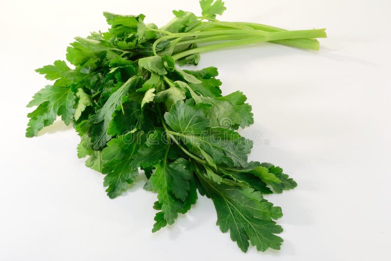 Persil image stock. Image du ingrédient, ingrédients - 18589895