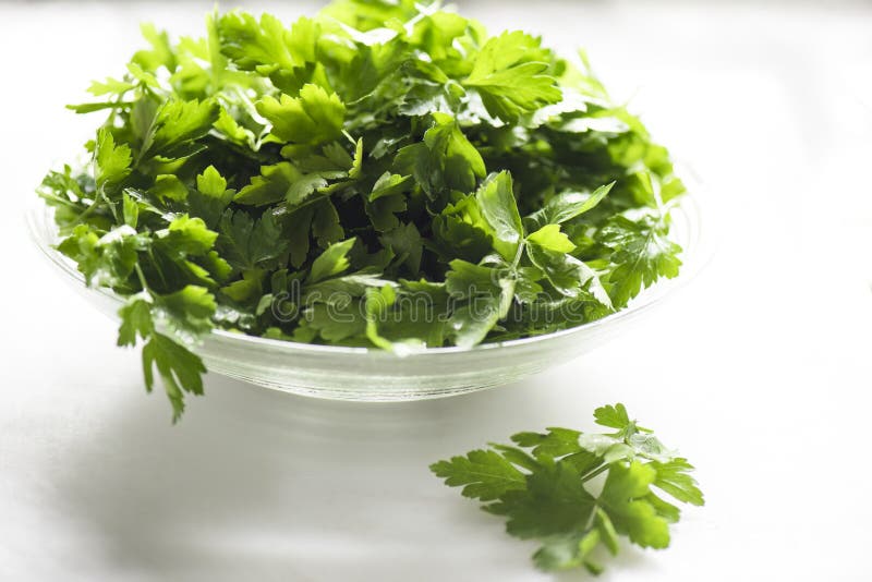 Persil coupé image stock. Image du lames, bois, persil - 16141263