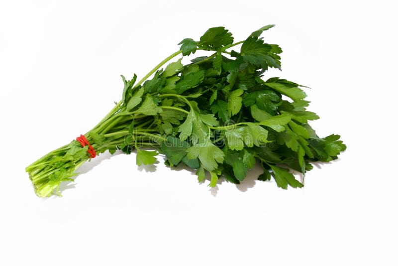 Persil italien photo stock. Image du ingrédient, régime - 10622496