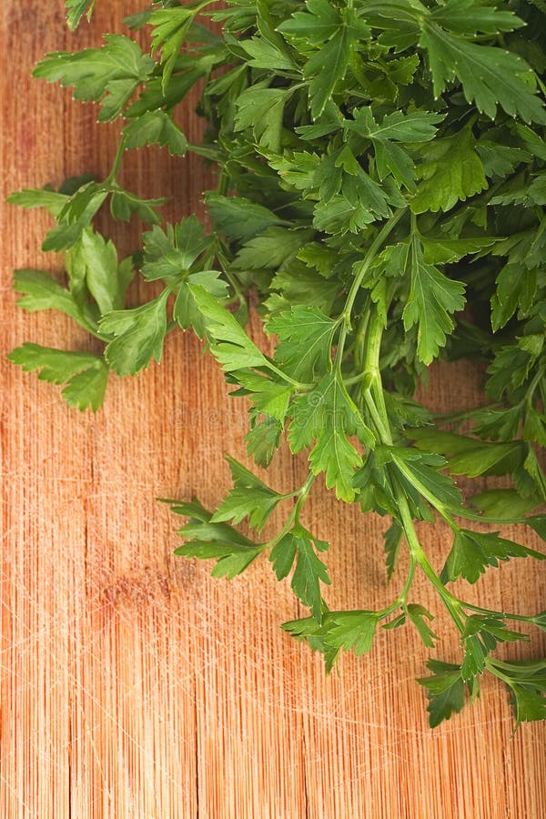 Persil italien image stock. Image du lame, persil, herbe - 13671389