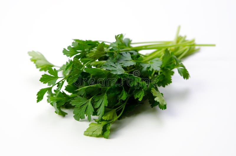 Persil italien photo stock. Image du nutritif, ferme - 10622496