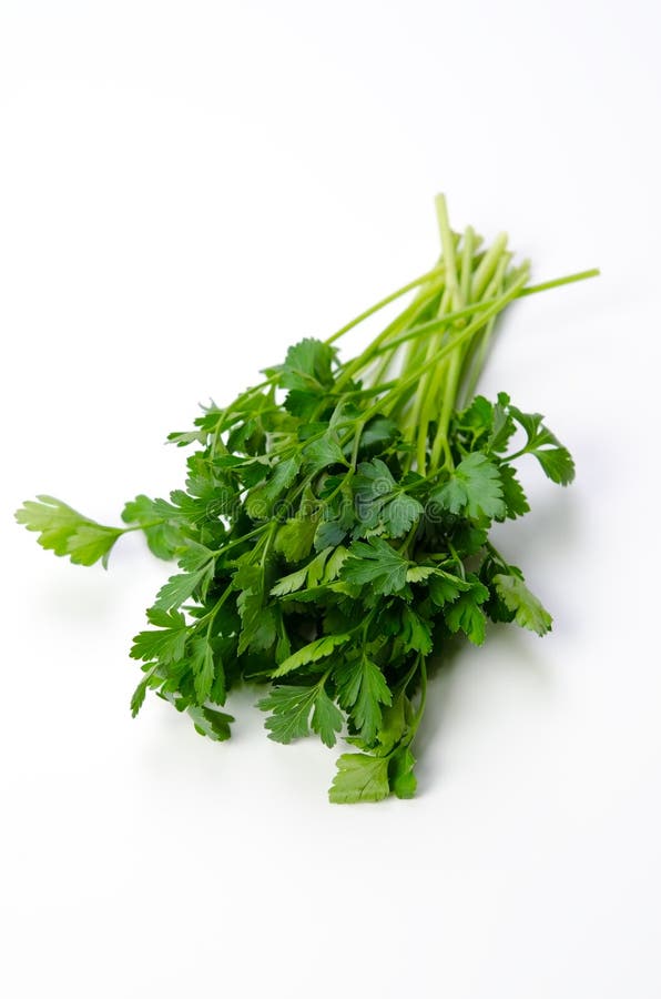 Persil italien photo stock. Image du ingrédient, régime - 10622496