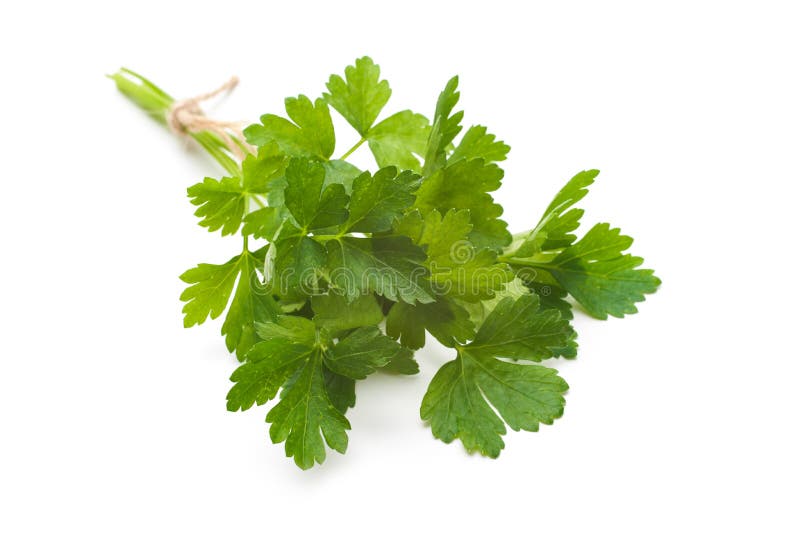 Persilja arkivfoto. Bild av anstrykning, packe, bakgrund - 50432704