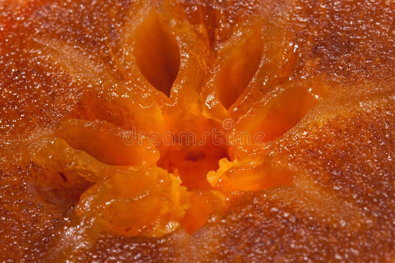 Persimmon stock photo. Image of bones, orange, flesh - 12176808